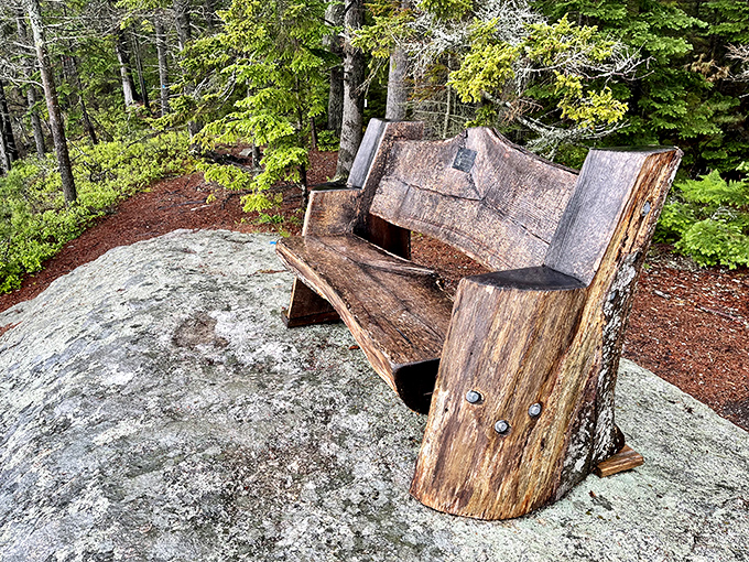 This artfully crafted wooden bench seems to grow from the very rock it sits upon &ndash; offering weary hikers rest with a view.