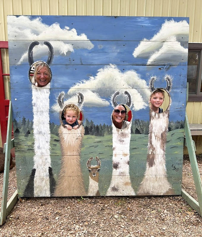 The farm's photo board transforms visitors into honorary llama family members &ndash; proving some of the best souvenirs don't come from gift shops.