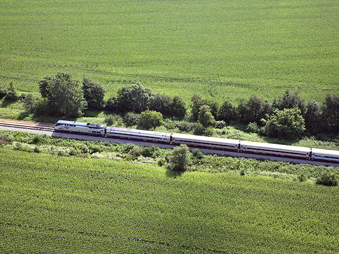 The train cuts a silver path through emerald fields, offering views of rural Florida most tourists never glimpse.