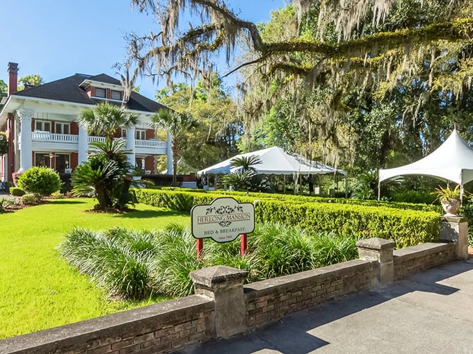The majestic Herlong Mansion stands as Micanopy's crown jewel, its stately columns and manicured grounds exuding Southern elegance.