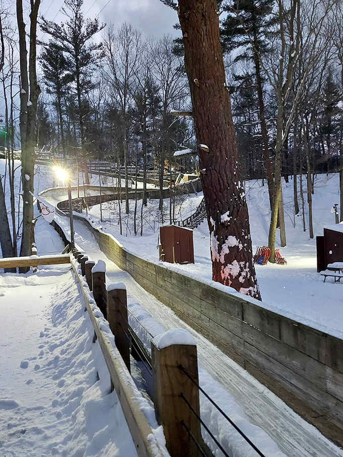 Morning light bathes the luge track in golden hues, promising a day of thrills for those brave enough to take the plunge.