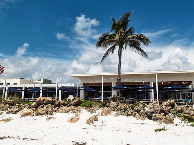 When Mother Nature provides your restaurant backdrop, you've already won half the battle &ndash; those palm trees are just showing off.