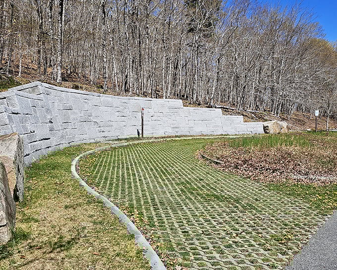 Thoughtful landscaping blends seamlessly with the natural environment, preserving Echo Lake's unspoiled character.