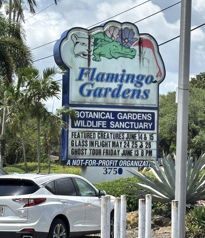 The iconic Flamingo Gardens sign promises botanical wonders and wildlife encounters just beyond the parking lot. Florida's natural side awaits your discovery!