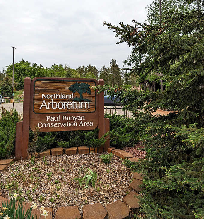 The entrance sign stands as both welcome and promise—beyond this wooden marker lies a world where conservation and wonder walk hand-in-hand.