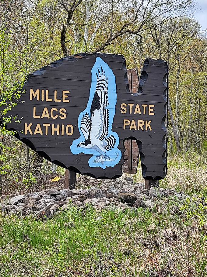 The iconic Mille Lacs Kathio State Park sign welcomes adventure-seekers to a place where Minnesota's natural beauty and human history intertwine seamlessly.