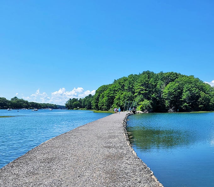 This scenic pathway stretches across the lake, guiding visitors toward a peaceful, green shoreline wrapped in summer light.