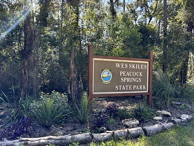 The park's welcoming sign marks the beginning of an adventure that combines hiking, natural springs, and geological wonders into one unforgettable North Florida experience.