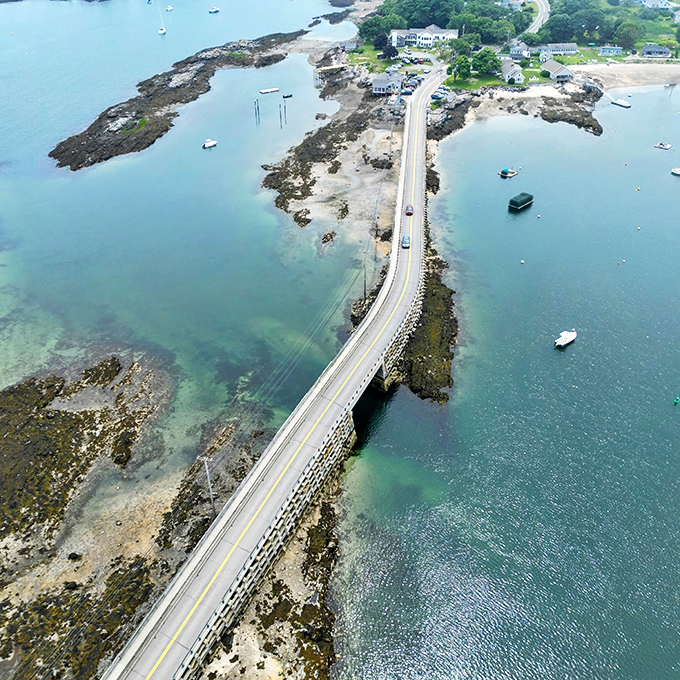 Aerial perspective shows how the bridge follows the natural contours of the land, respecting its environment.