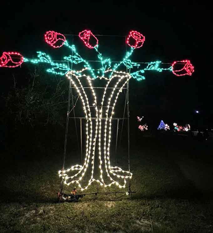 A bouquet of roses that never wilts, never needs water, and somehow manages to smell like Christmas magic anyway.