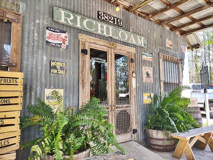 Ferns frame the entrance to this tin-sided time machine, where "Richloam" isn't just a name but a promise of authentic Florida heritage.