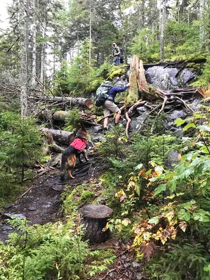The journey begins as hikers and their four-legged guides tackle Maine's rugged terrain together, forging bonds with every challenging step forward.