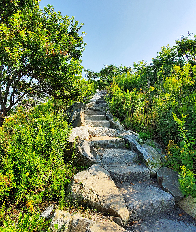 Stone steps ascend through lush greenery, inviting explorers to discover what waits at the summit &ndash; spoiler alert: it's worth the climb.