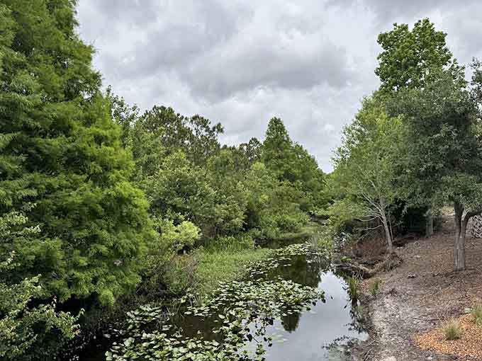 Lush greenery creates layers of texture and color that would make any landscape designer weep with professional jealousy, and they'd be right to feel that way.