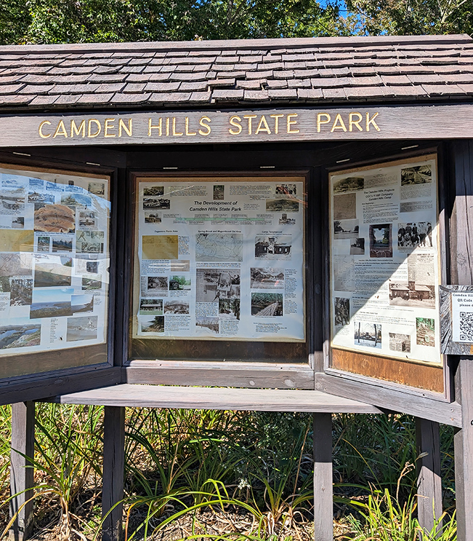 The park's information board offers context to the beauty, proving that sometimes knowledge enhances wonder rather than diminishing it.