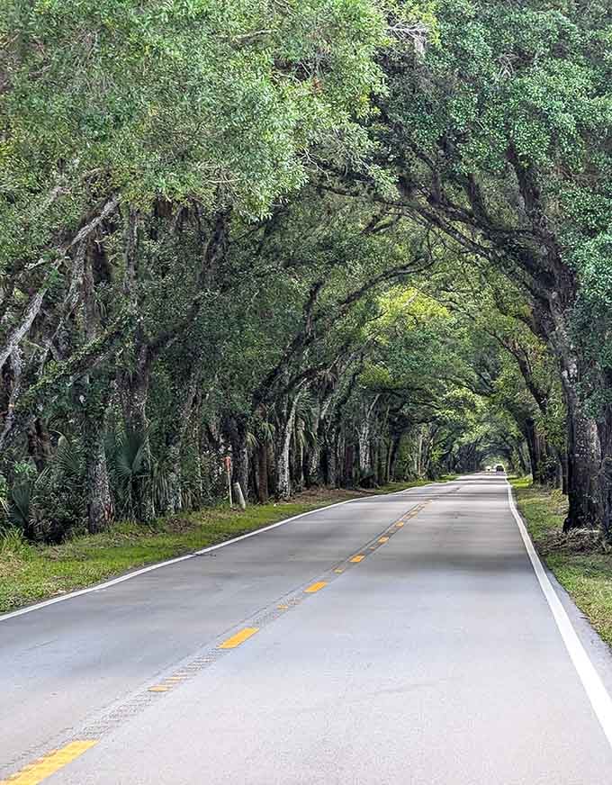 They call it The Grade, but honestly, it deserves straight A's for beauty, tranquility, and reminding us what Florida used to be.