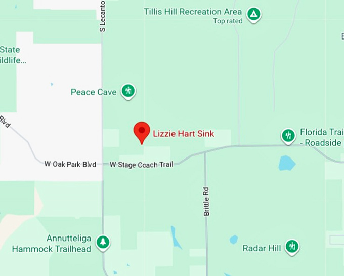 16. lizzie hart sink map