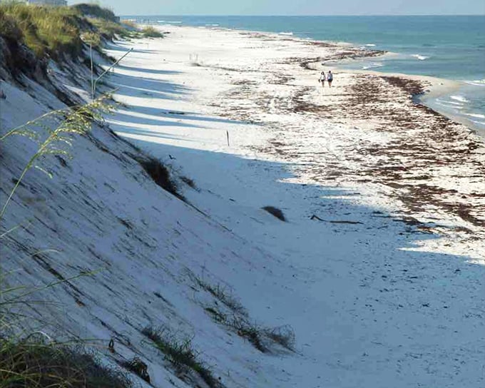 Pristine white sands stretch along St. Joseph Peninsula State Park, where dunes meet crystal-clear Gulf waters in a scene of untouched coastal beauty.