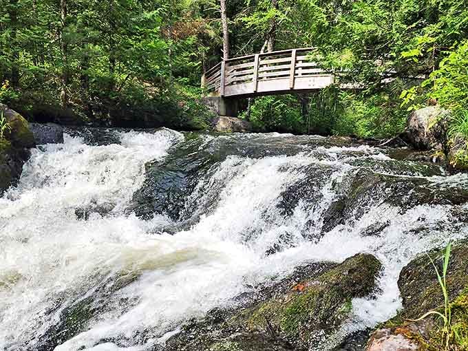 Veteran's Falls welcomes visitors with its gentle cascade, framed by a rustic wooden bridge perfect for family photos.
