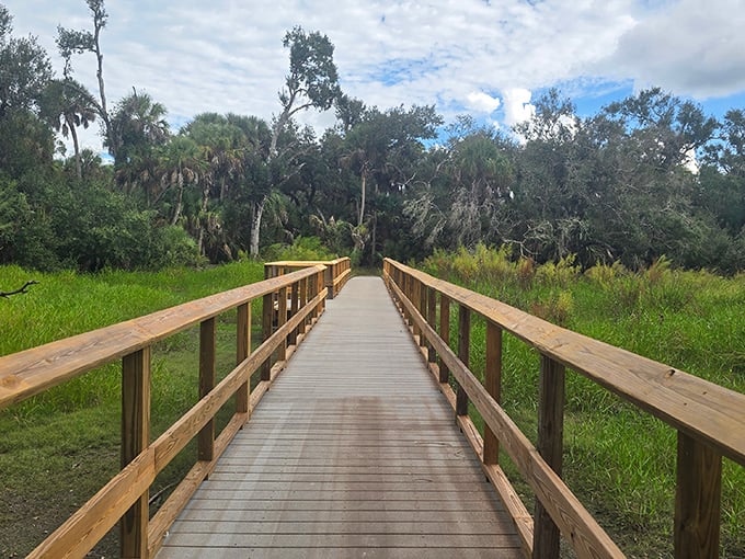 The wooden Canopy Walkway at Myakka River State Park invites adventurers to stroll among the treetops, offering a bird's-eye view of Florida's wild beauty below.