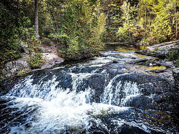 Sunlight dances through the trees at Veteran's Falls, creating a magical forest setting that feels like stepping into a storybook.