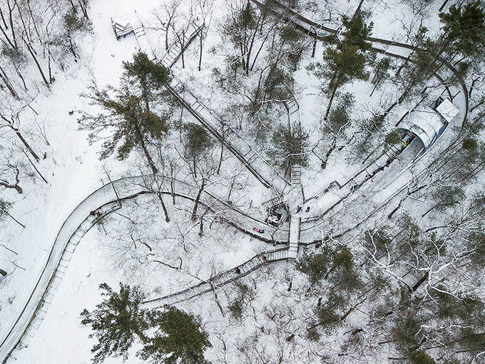 A bird's-eye view reveals the serpentine beauty of the luge track winding through snow-dusted pines like a frozen river of fun.