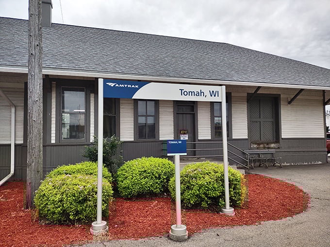 Amtrak's blue and silver livery pops against the Tomah station's classic architecture, where rail history meets modern travel.