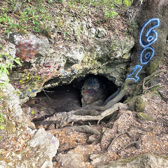Who says Florida is flat? This cozy cave entrance, marked with blue spray paint, offers a peek into the state's surprising underground world.