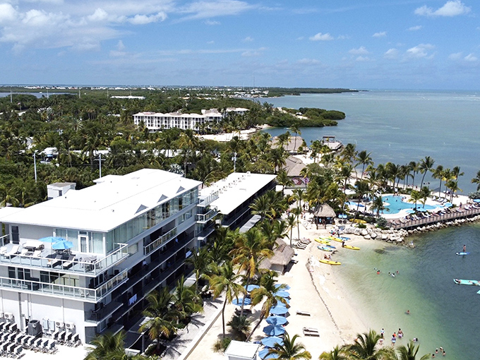 Luxury meets laid-back at Islamorada's waterfront resorts, where palm trees stand sentinel over pristine beaches that belong on postcards.