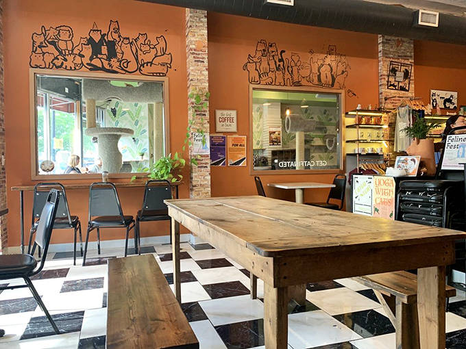 Warm orange walls and whimsical cat artwork create the perfect backdrop for this rustic wooden table where coffee and conversation flow freely.