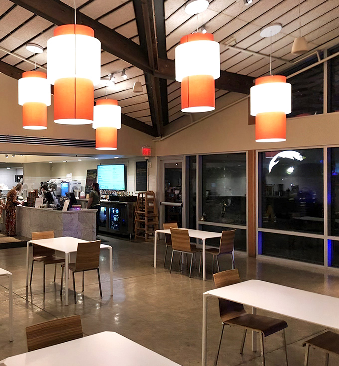 Inside Fogg Café, distinctive orange pendant lights create a warm ambiance against wooden ceiling beams – contemporary design that complements the natural surroundings.