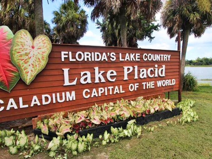 Caladium Capital of the World &ndash; Lake Placid's welcome sign proudly announces its colorful claim to fame with tropical flair.
