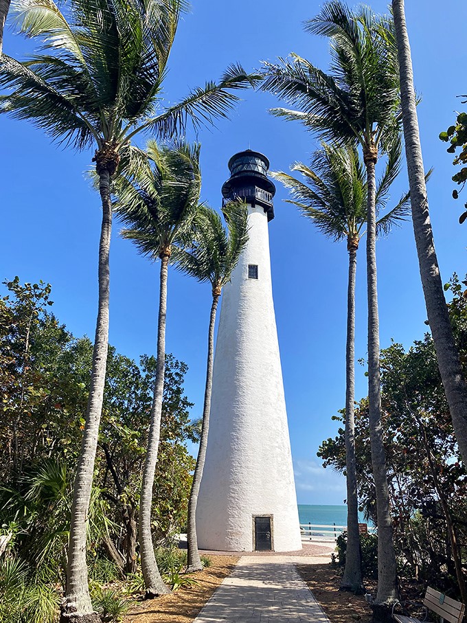 Towering palms frame this historic sentinel, creating nature's perfect gateway to a structure that's witnessed centuries of Florida's maritime drama.