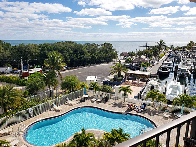 Paradise found: where poolside relaxation meets marina views, creating the perfect Florida Keys backdrop for afternoon daydreaming.