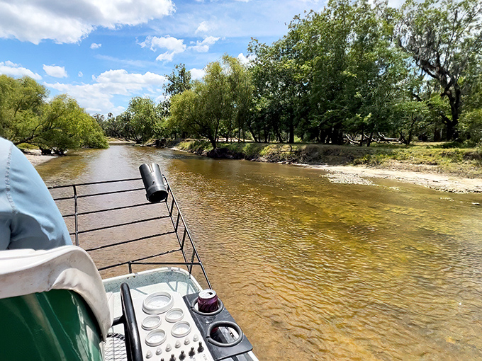 Nature's time machine: Peace River's clear waters flow over sediments holding millions of years of Earth's secrets.