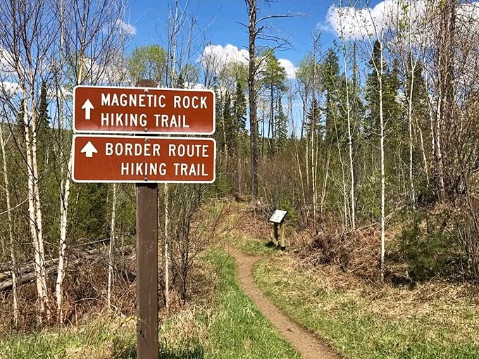 Choose your adventure at this woodland crossroads &ndash; both paths promise wilderness wonders, but only one leads to the magnetic marvel.