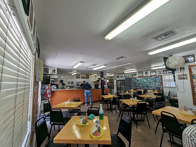 Simple wooden tables and black chairs create the unpretentious stage where sandwich magic happens daily.