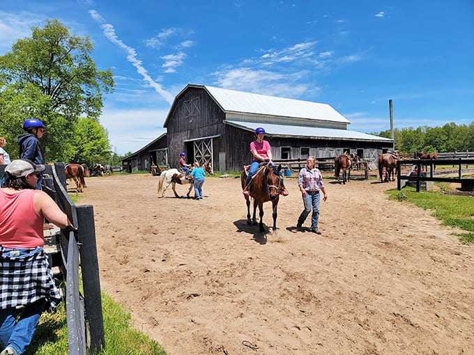 These trail rides offer the kind of authentic horseback experience that makes you feel like the Marlboro Man, minus the cigarettes and questionable life choices.