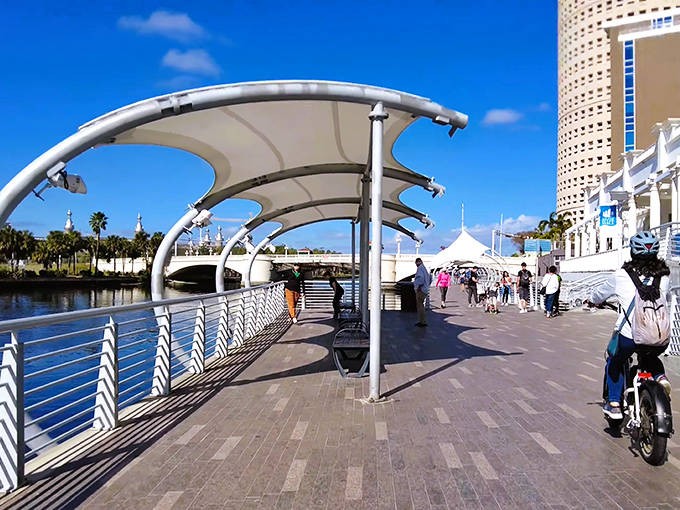 Shaded walkways provide blessed relief from Florida's sunshine, where visitors can pause to watch boats glide by like aquatic urban wildlife.