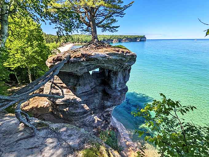 Chapel Rock stands defiant against time, its lone pine tree stretching roots across thin air like nature's high-wire act.