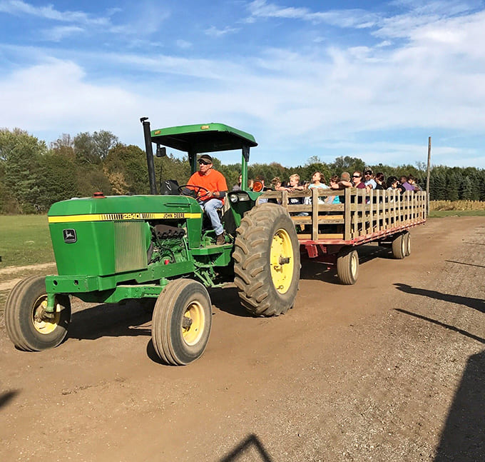 Tractor-pulled wagon rides transport families through the farm like a pastoral Uber service, minus the surge pricing and awkward small talk with drivers.
