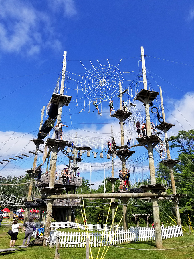 Bird's eye view of adventure heaven! The intricate wooden structures and rope courses create a three-dimensional playground that would make squirrels jealous.