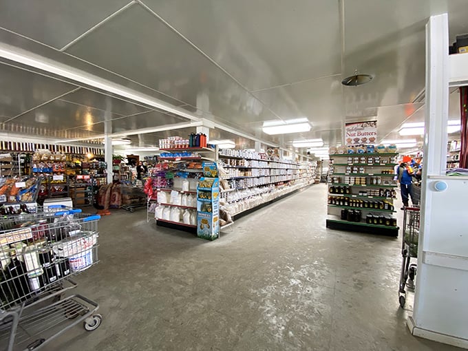 Aisles stretch into the distance, illuminated by natural light rather than fluorescent glare &ndash; shopping as your grandparents would recognize it.