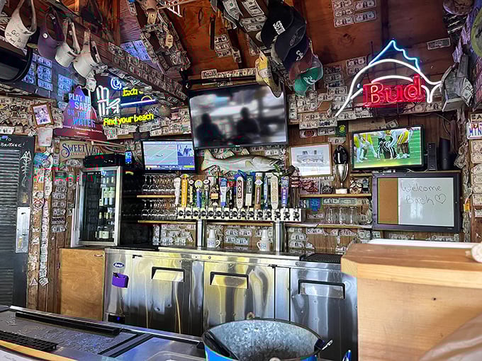 Dollar bills paper every inch of ceiling and wall, each representing a visitor who left their mark in this seafood sanctuary.