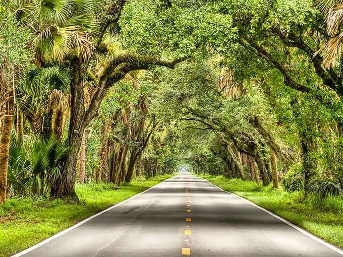 This is what happens when nature and pavement decide to collaborate instead of compete for once in their relationship.