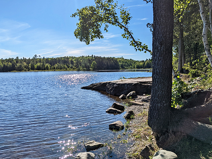 Sunlight dances across crystal waters at this secluded lake shore, where silence is broken only by the occasional splash of fish or call of loons.
