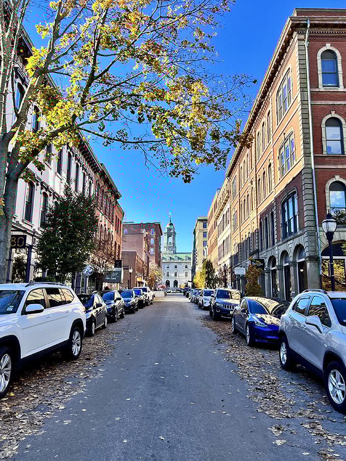 Autumn leaves frame Portland's historic streets, where centuries-old architecture creates perfect sight lines toward the city's iconic buildings and bustling waterfront.