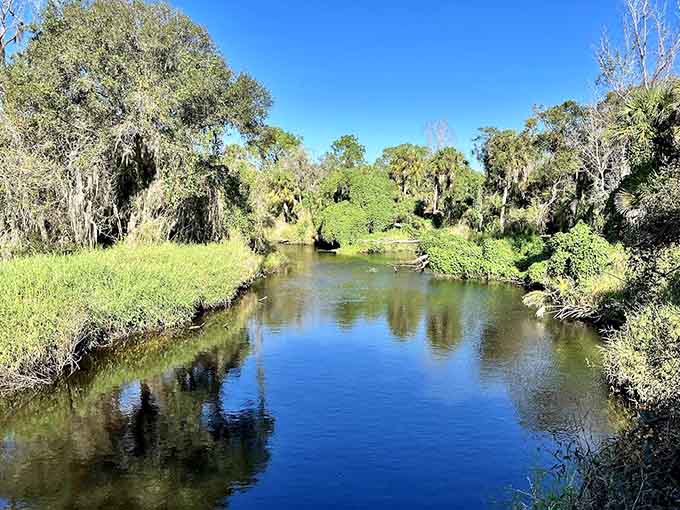 Sunlight bathes the rugged cliff face, highlighting nature's grandeur against the man-made tunnel entrance&mdash;a perfect marriage of wild beauty and human ingenuity.