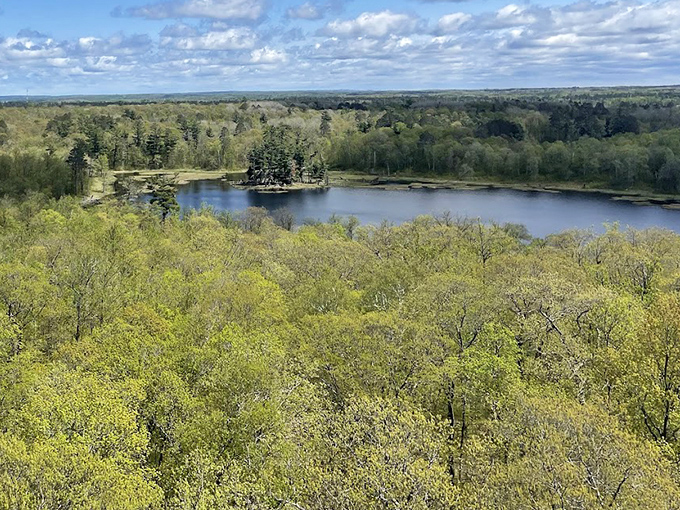 Lake Itasca stretches before you like nature's infinity pool, reflecting clouds that seem close enough to touch.