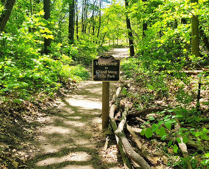The unassuming welcome sign marks the beginning of an adventure, standing sentinel at the forest's edge.